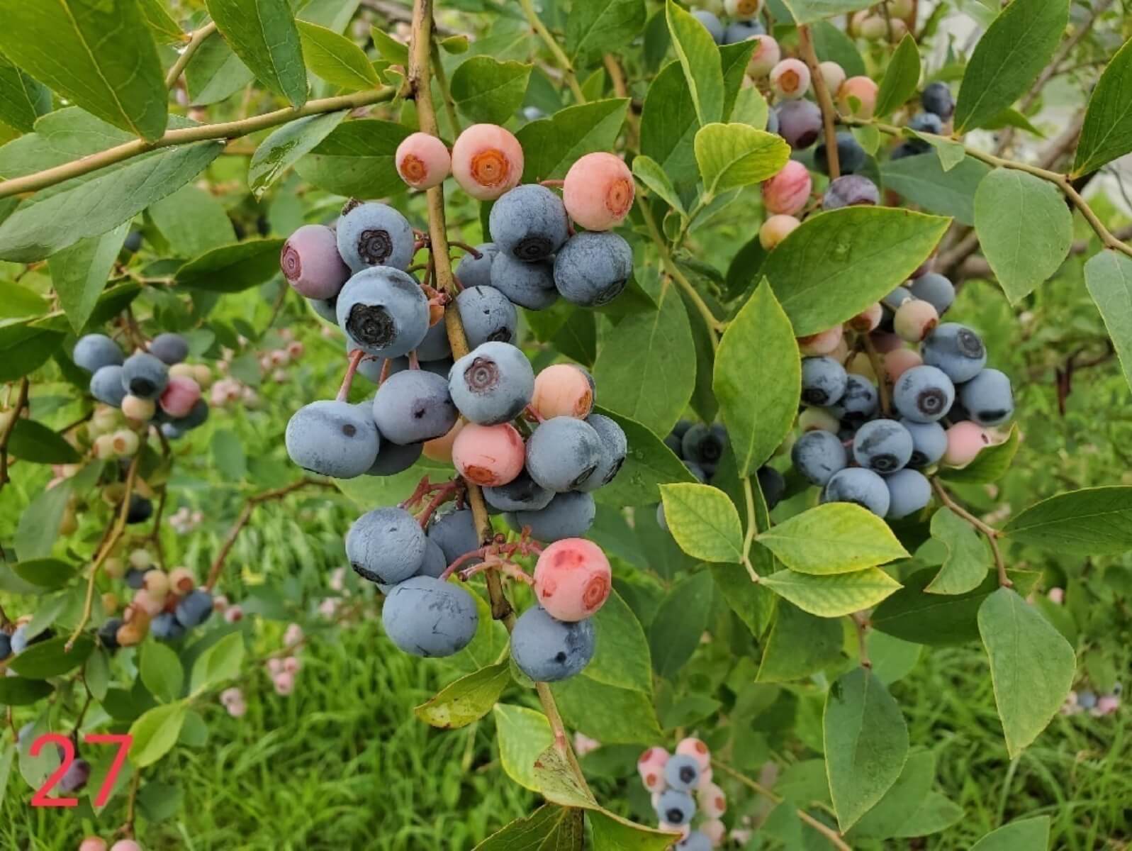 トップページ - ジットグループ JIT GROUP